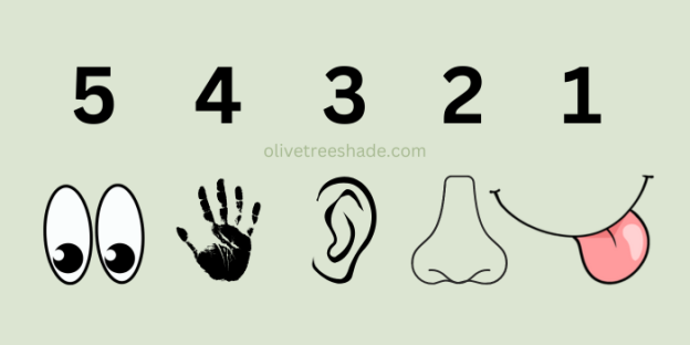 54321 Grounding Technique | Olive Tree Shade Mental Health Blog