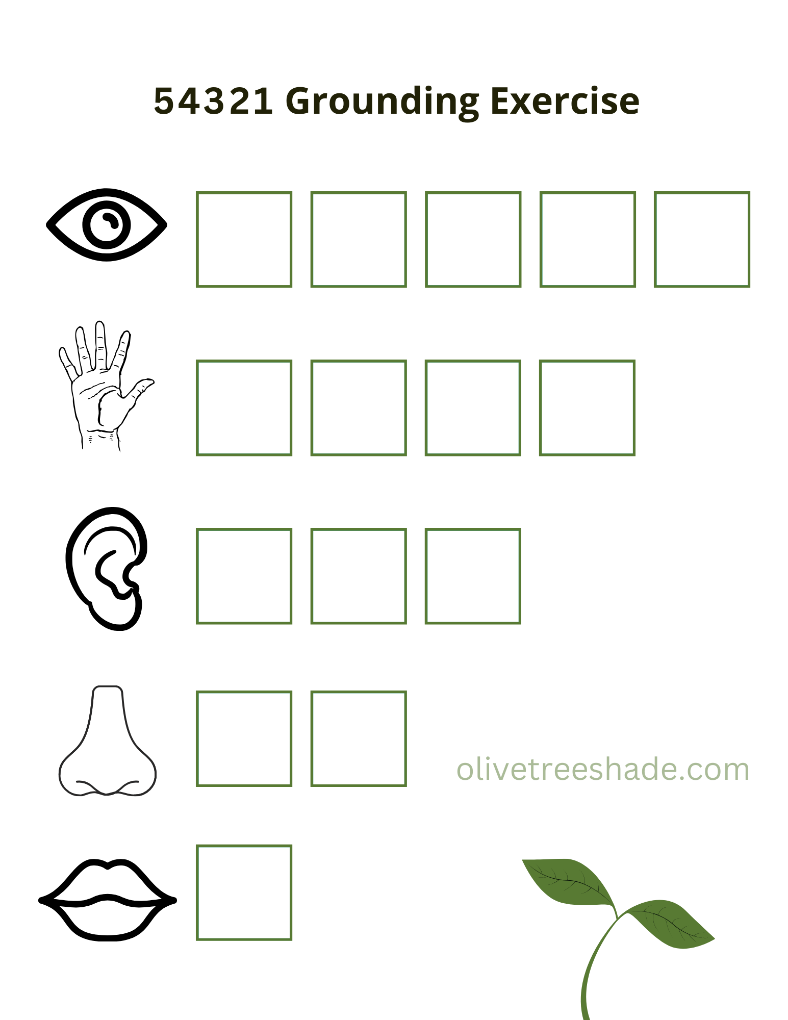 54321 Grounding Technique | Olive Tree Shade Mental Health Blog